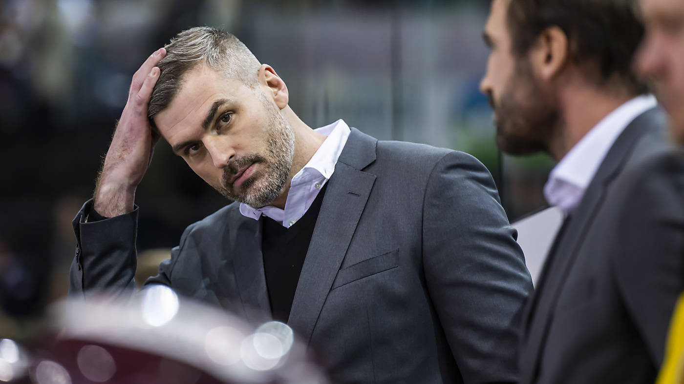 Yorick Treille prolonge d'un an, Stefan Hedlund le rejoint